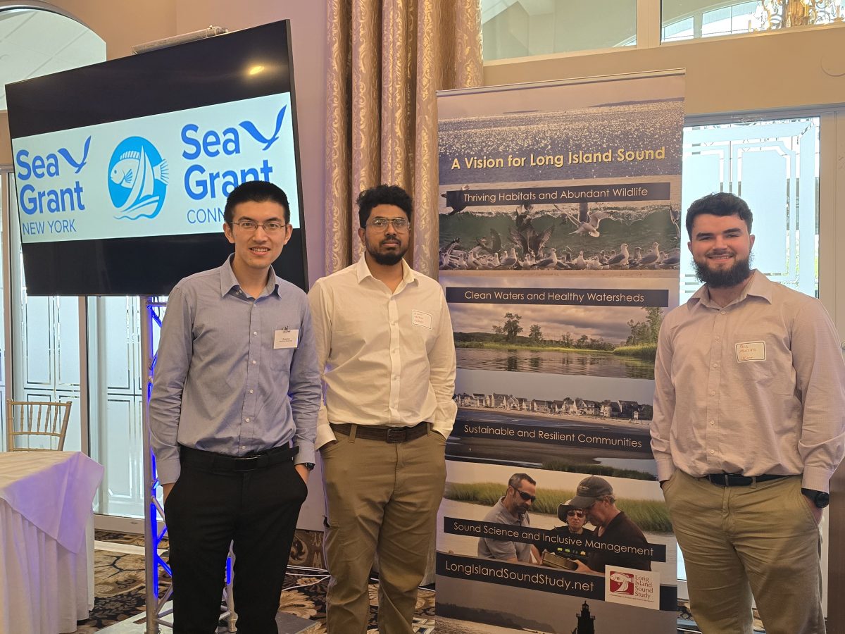 Gallery | FLUids, rEduction, Nonlinearity, and Turbulence (FLUENT) Lab